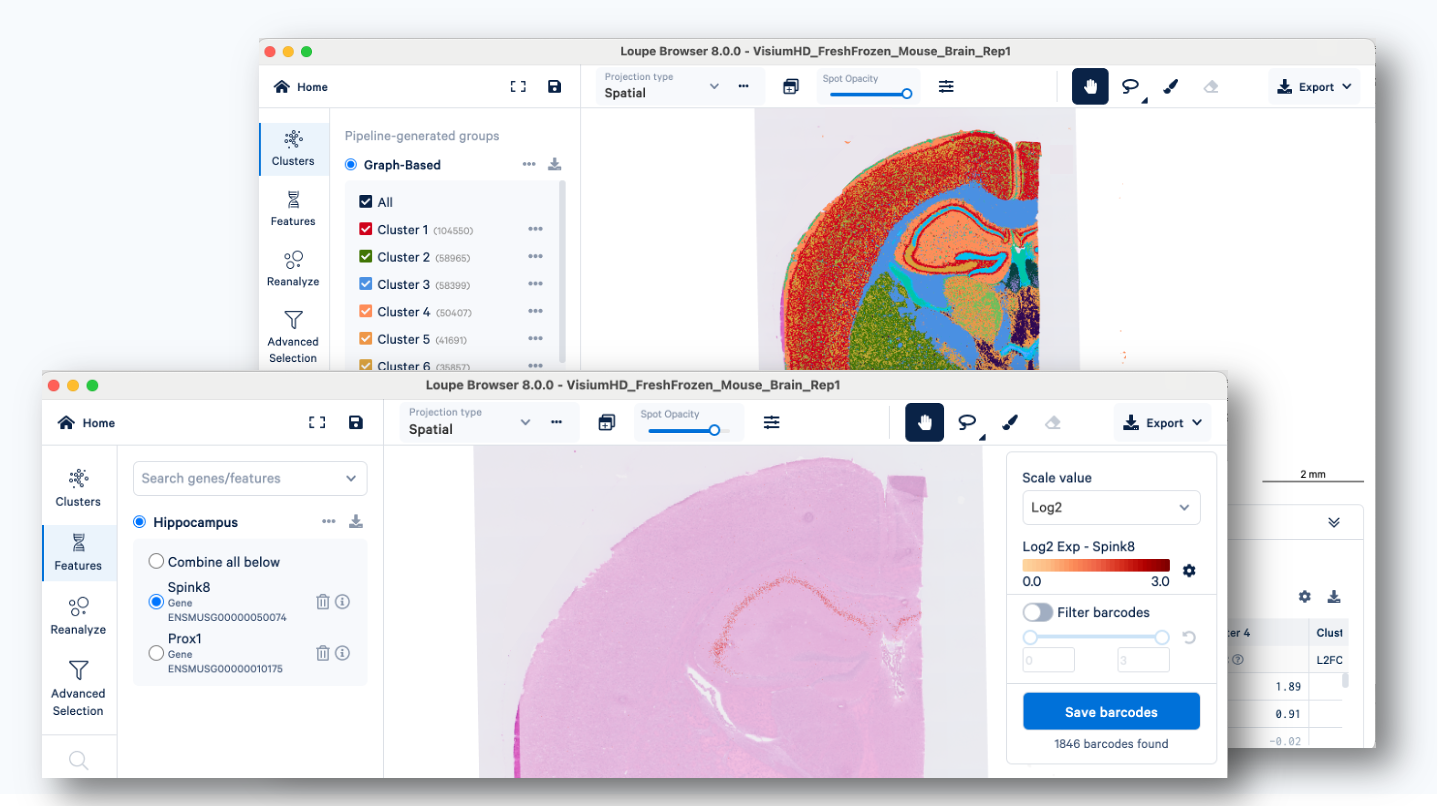 Visium Spatial Platform - 10x Genomics Visium Spatial Platform - 10x Genomics